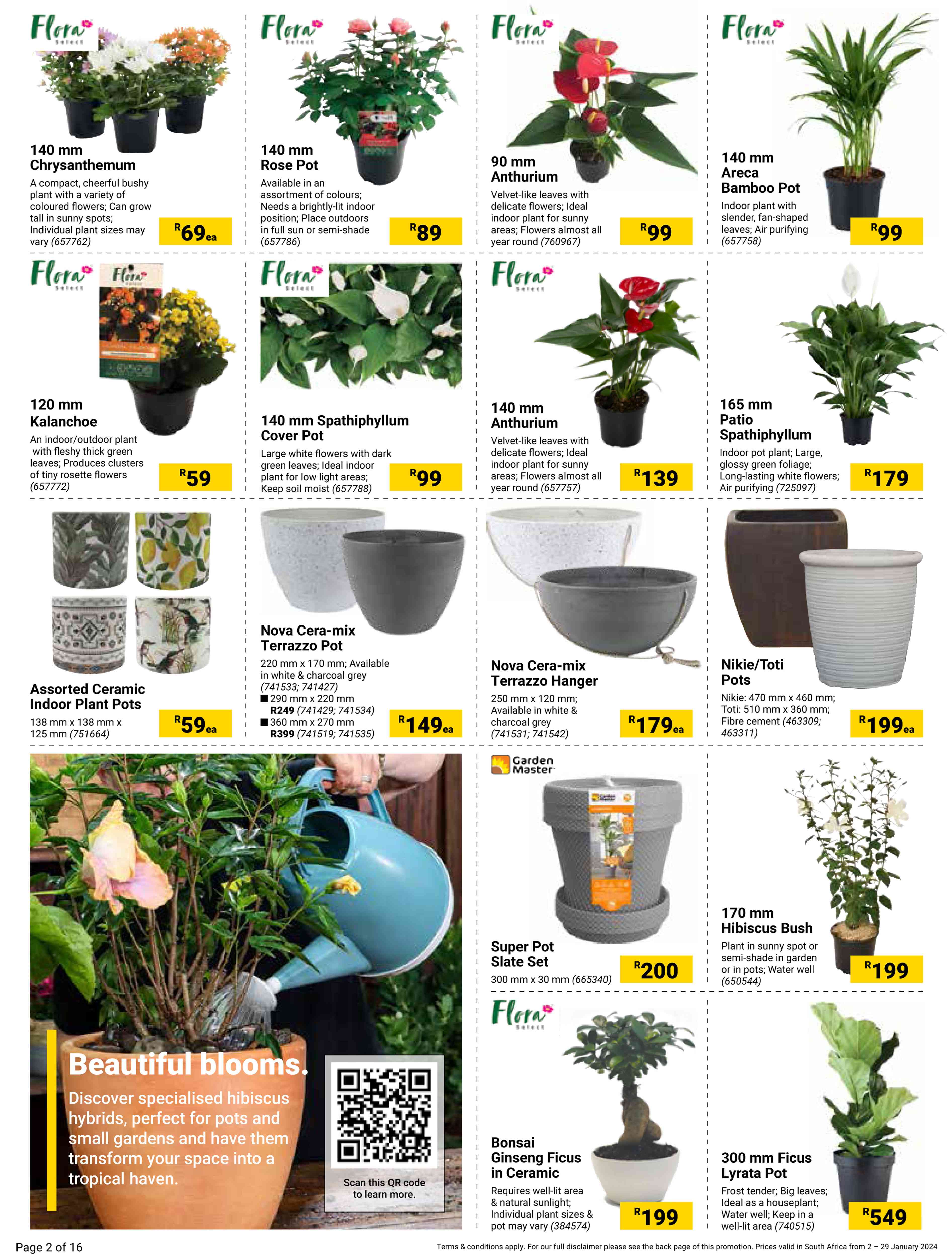 DIY Specials | Catalogue | SA Promotional Leaflets | Builders