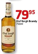 Special Olof Bergh Brandy-750ml — www.guzzle.co.za