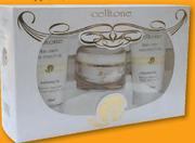 Special Glomail Celltone Value Pack — www.guzzle.co.za