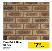 Special Face Brick Blue Barley-Each — www.guzzle.co.za